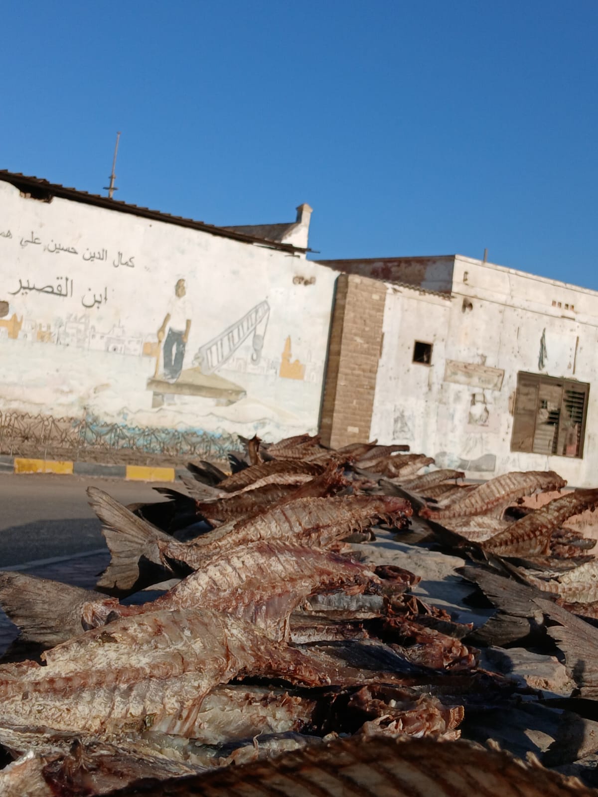 Al-Qusayr Dried Fish: Egypt's Ancient Winter Tradition from Pharaonic ...